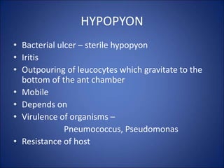 RAMJI PANDEY cornea class-2 | PPT