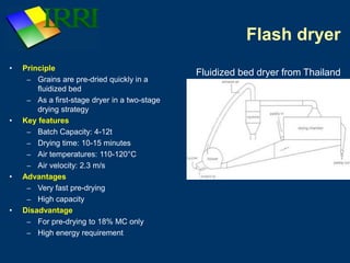 paddy-drying-systems.ppt