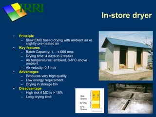 paddy-drying-systems.ppt