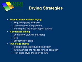 paddy-drying-systems.ppt