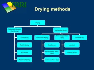 paddy-drying-systems.ppt