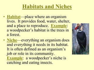 fdocuments.in_chapter-18-introduction-to-ecology.ppt