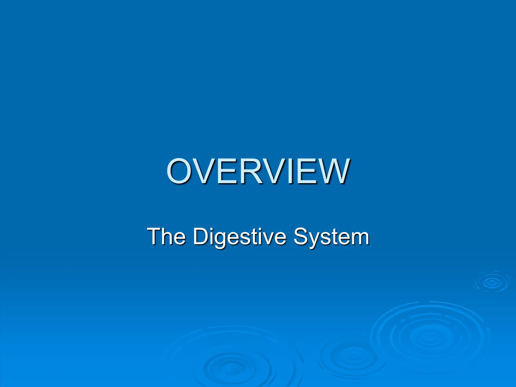 fdocuments.net_overview-the-digestive-system-digestive-system-the ...