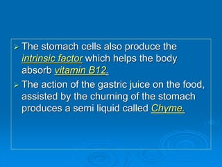 fdocuments.net_overview-the-digestive-system-digestive-system-the ...