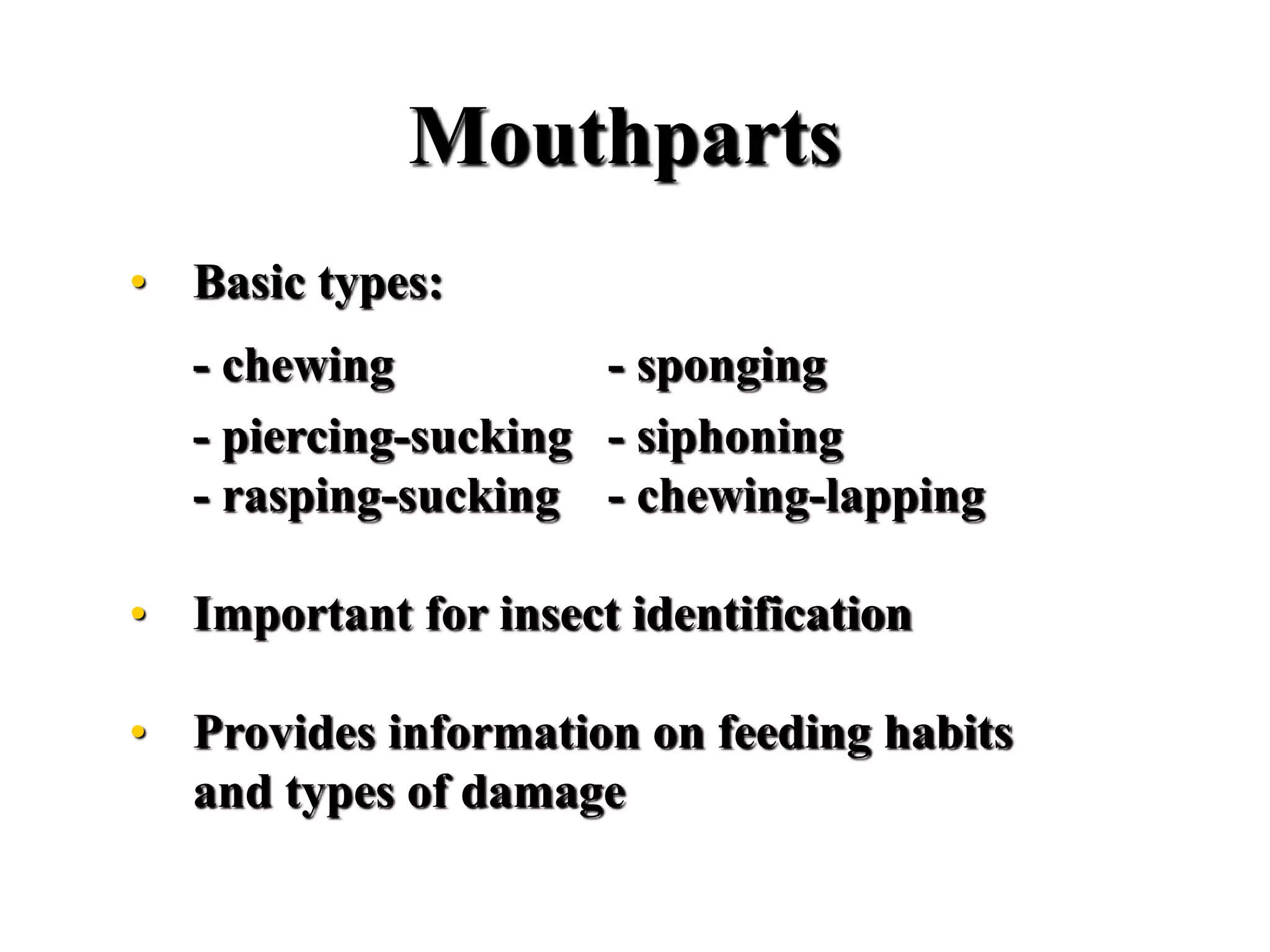 fdokumen.com_iii-morfologi-serangga.ppt