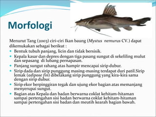 fdokumen.com_presentasi-rproduksi-ikan-baung.ppt