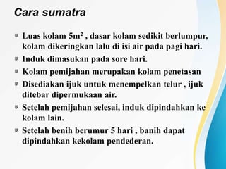 fdokumen.com_rekayasa-akuakultur.ppt