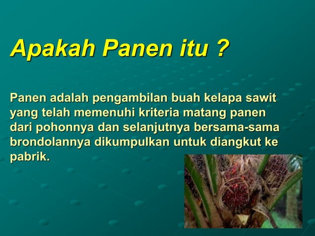fdokumen.com_panen-ksawit.ppt