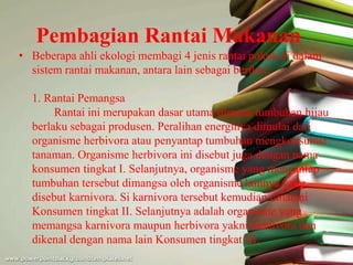 fdokumen.com_rantai-makanan-dan-jaring-jaring-makanan.pdf