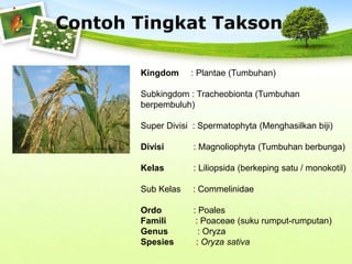 keanekaragaman-makhluk-hidup-kelas-7.ppt