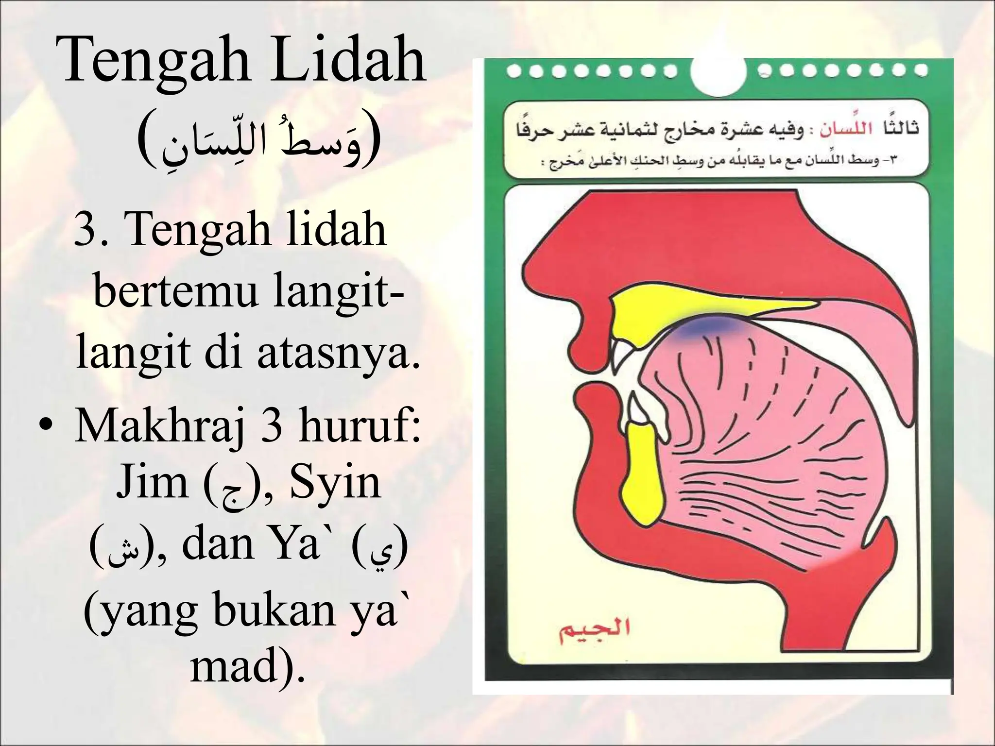 fdokumen.com_tahsin-tempat-keluar-huruf.ppt