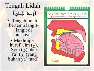 fdokumen.com_tahsin-tempat-keluar-huruf.ppt