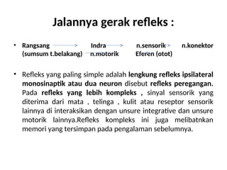 fdokumen.com_fisiologi-sistem-saraf-56608f7d2f392.ppt