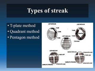 Basic Microbiological techniques | PPTX