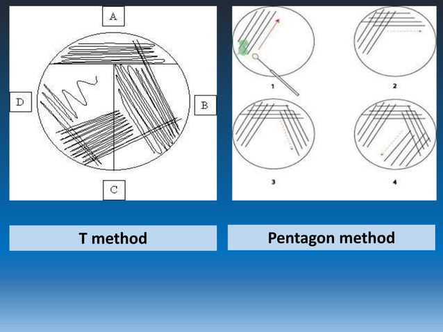 Basic Microbiological techniques | PPTX