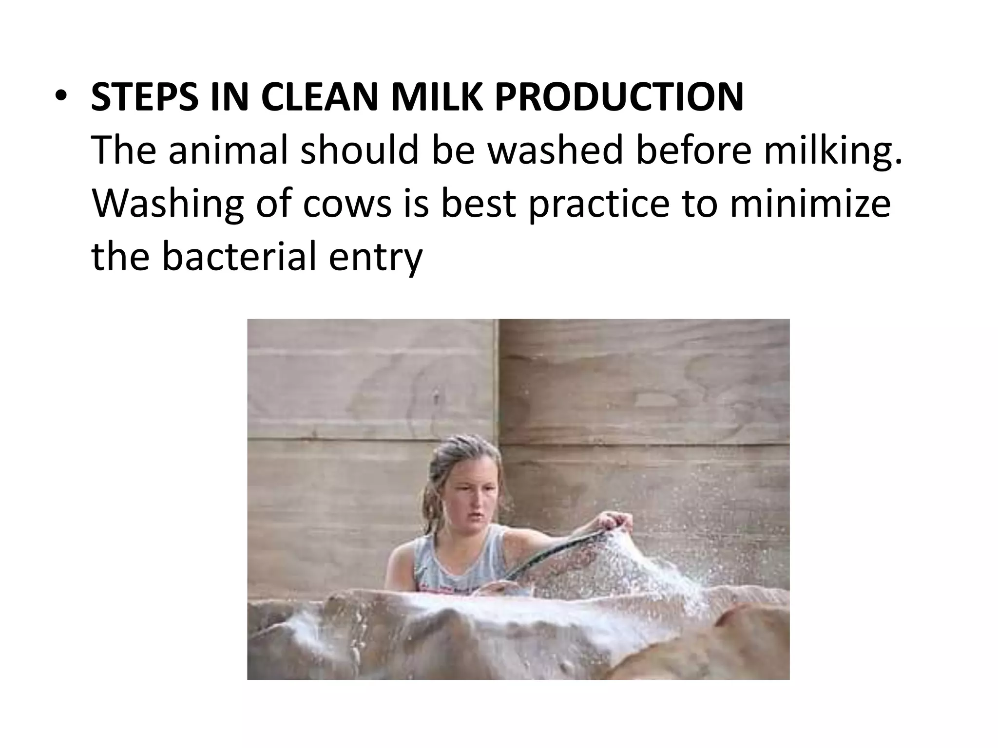 Clean milk production | PPTX