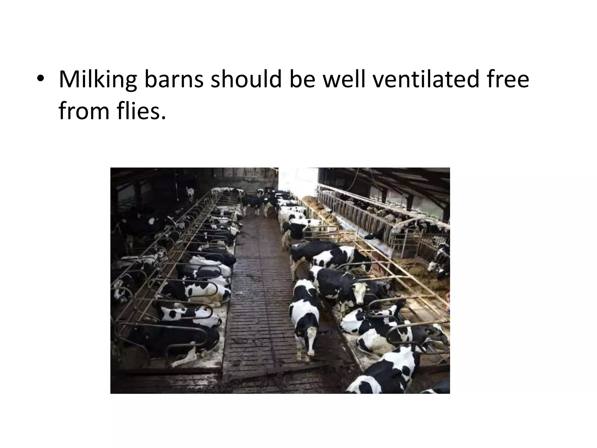 Clean milk production | PPTX