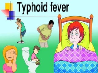 Typhoid fever | PPT