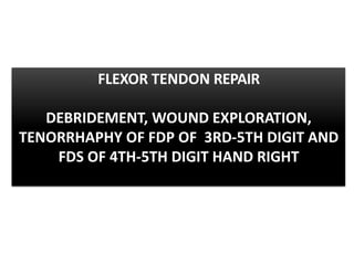 FDP FDS repair.pdf