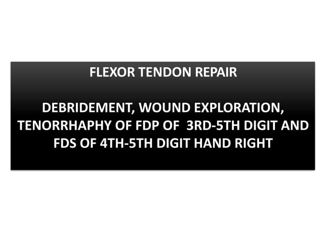 FDP FDS repair.pdf