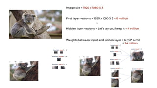 Optimal deep learning model For Classification of Lung Cancer on CT ...