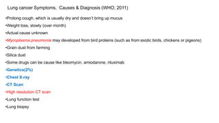 Optimal deep learning model For Classification of Lung Cancer on CT ...