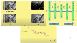 Optimal deep learning model For Classification of Lung Cancer on CT ...