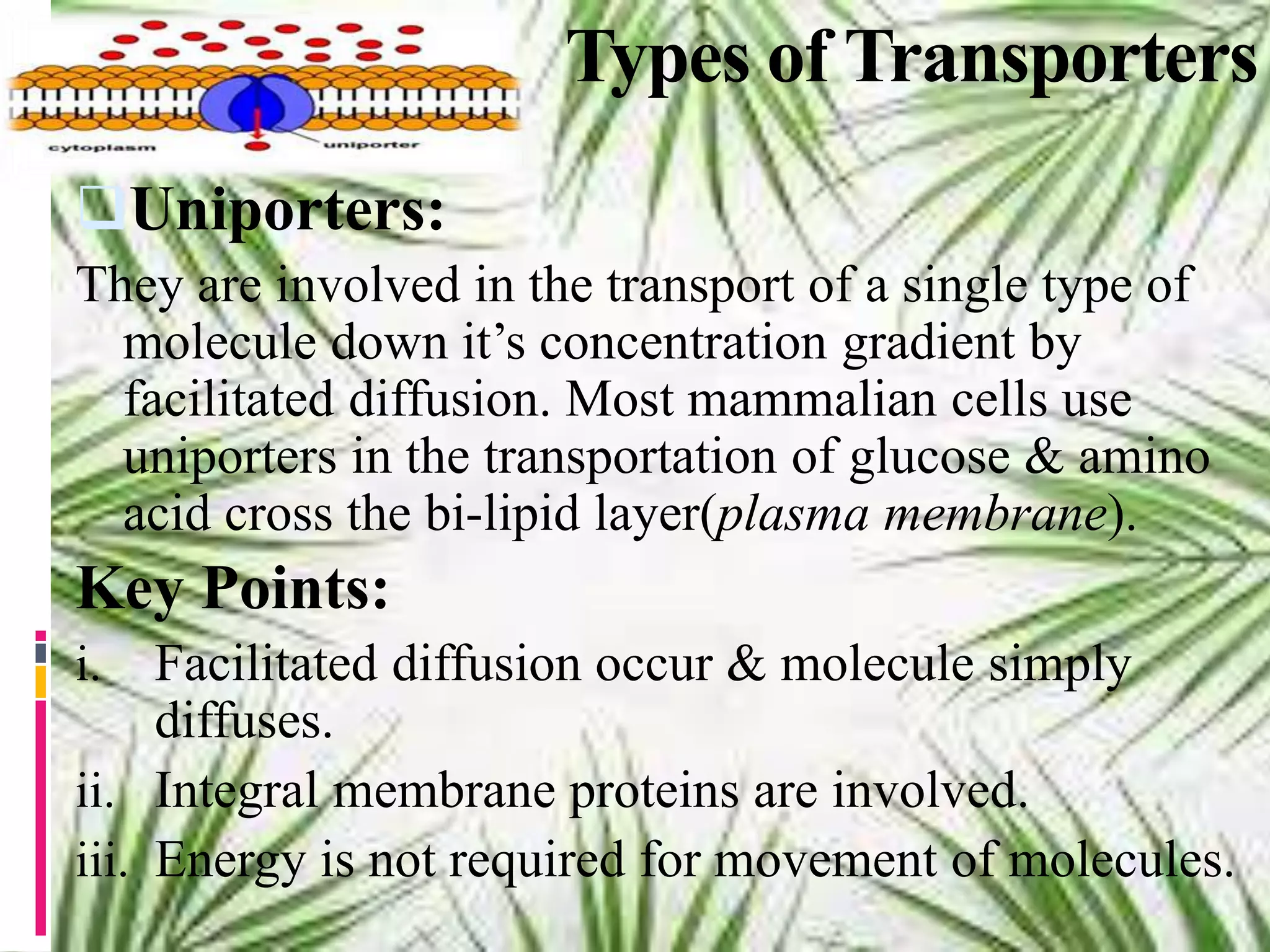 types of transporters | PPTX