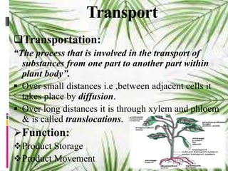 types of transporters | PPTX