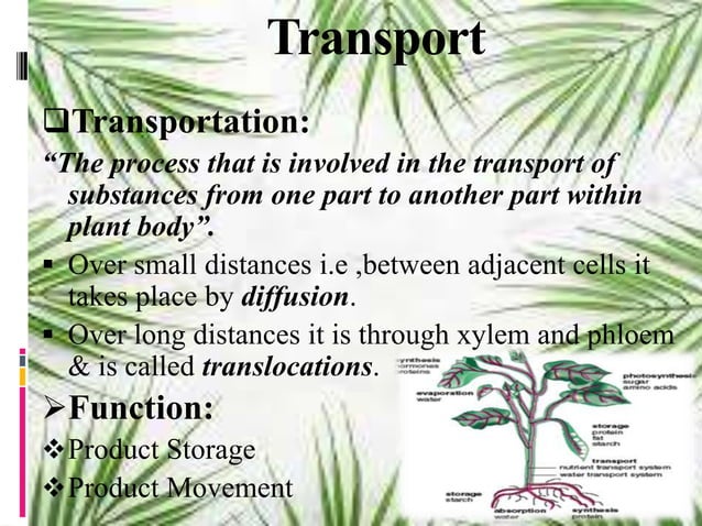 types of transporters | PPTX
