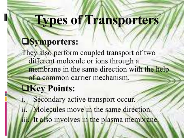 types of transporters | PPTX