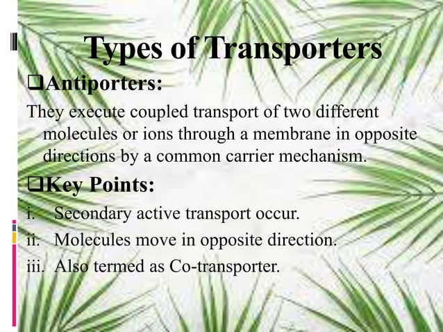 types of transporters | PPTX
