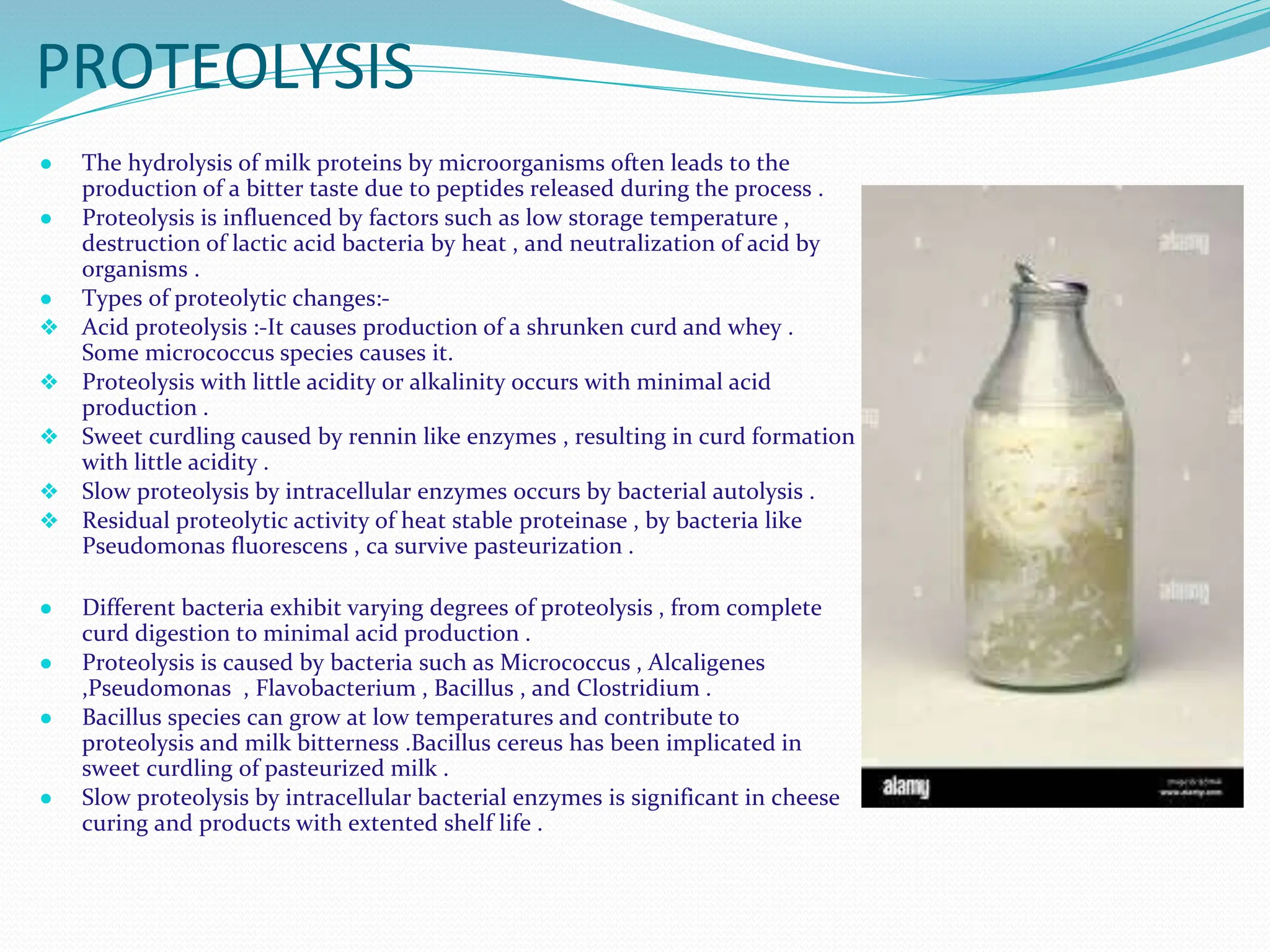 Spoilage of milk and milk products presentation | PPTX