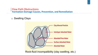 Formation Damage Test. | PPTX