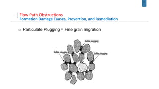 Formation Damage Test. | PPTX