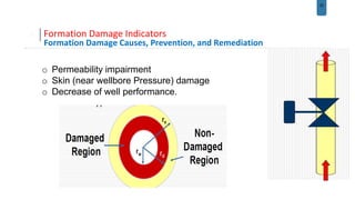 Formation Damage Test. | PPTX