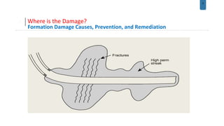 Formation Damage Test. | PPTX