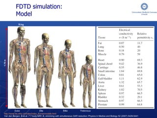 FDTD Simulations In MRI | PPT | Physics | Science
