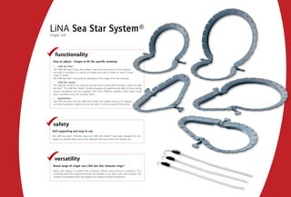 LiNA_Sea_Star_System | PPT