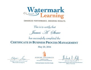 Certificate - Business Process Management | PDF
