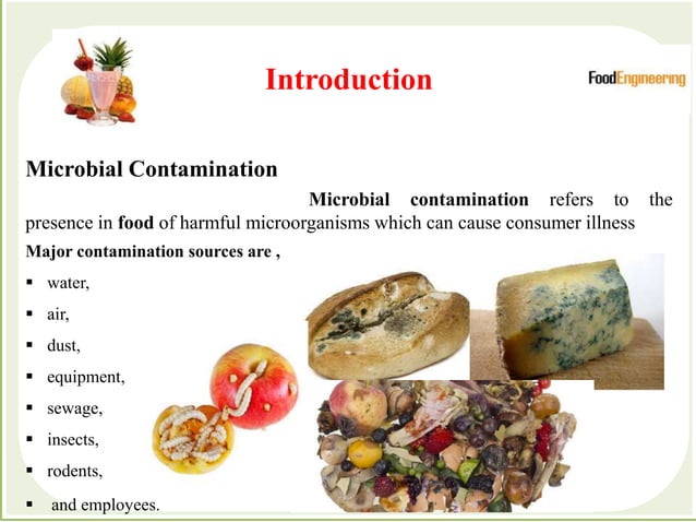 thermal processing of food | PPTX
