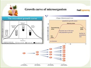 thermal processing of food | PPTX