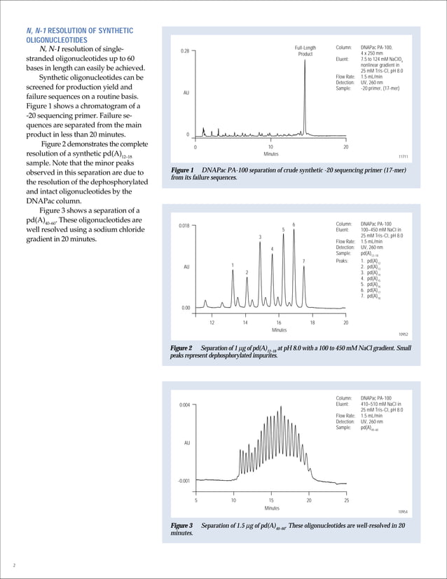 DNAPac PA100 Column | PDF