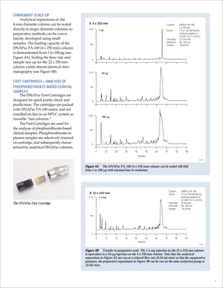 DNAPac PA100 Column | PDF