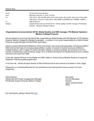 Global Quality and HSE manager, PG Modular Systems | PDF