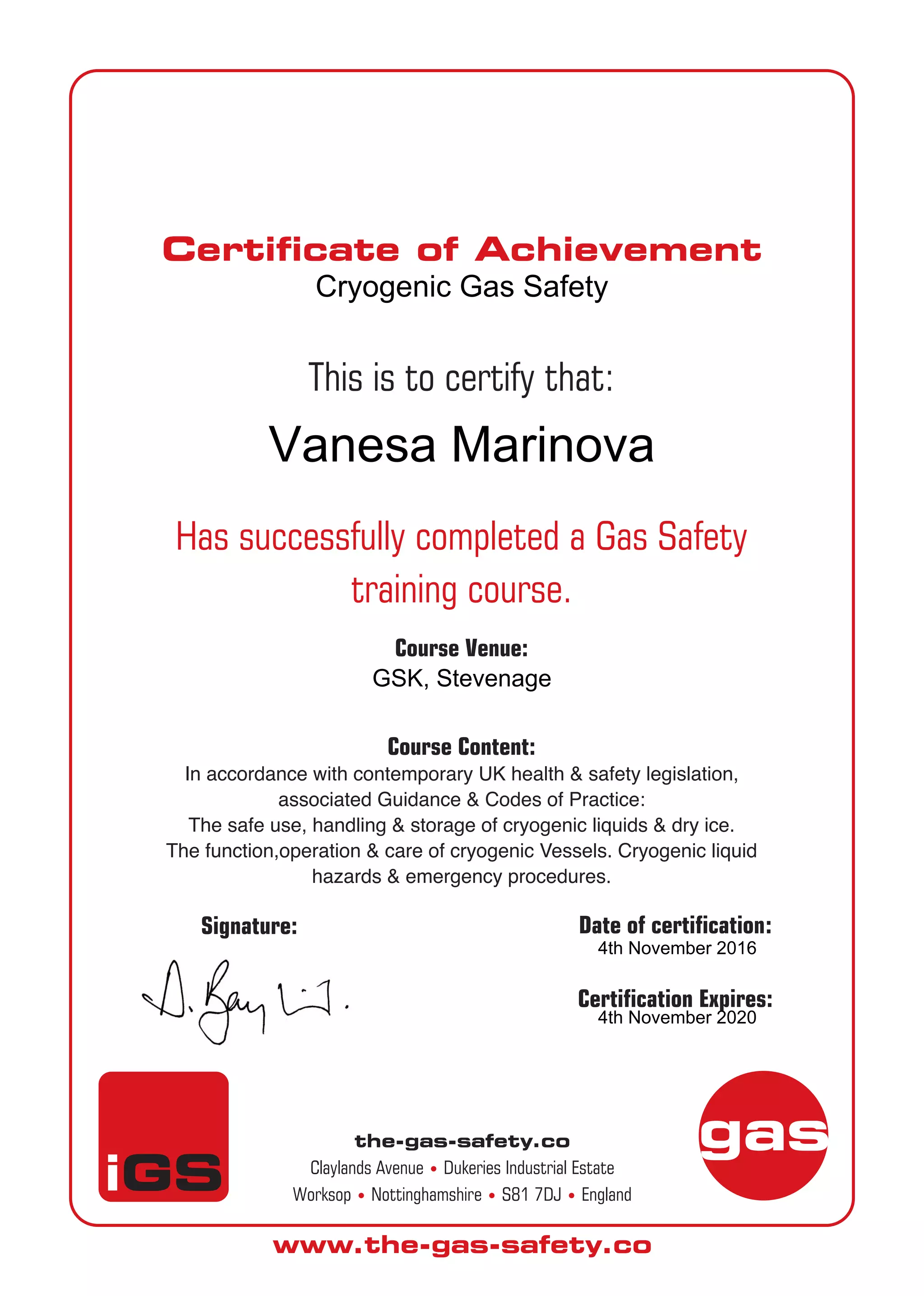 2955-199Cryogenic Gas Safety Certificate - Vanesa Marinova | PDF