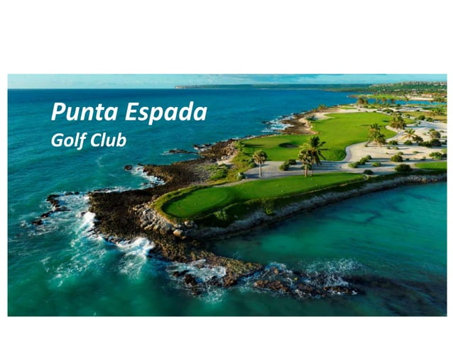 punta espada link | PPTX