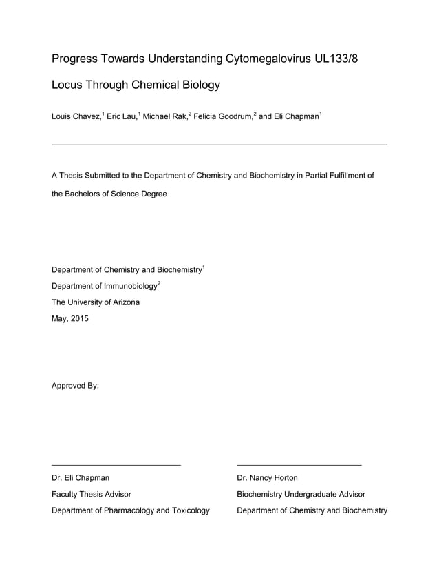 Louis Chavez Senior Thesis | PDF | Infectious Diseases | Diseases and ...
