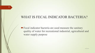 FEACAL IDICATOR BACTERIA.pptx