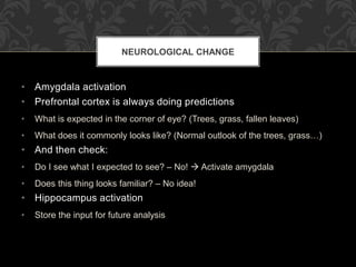 Dissecting Fear | PPT